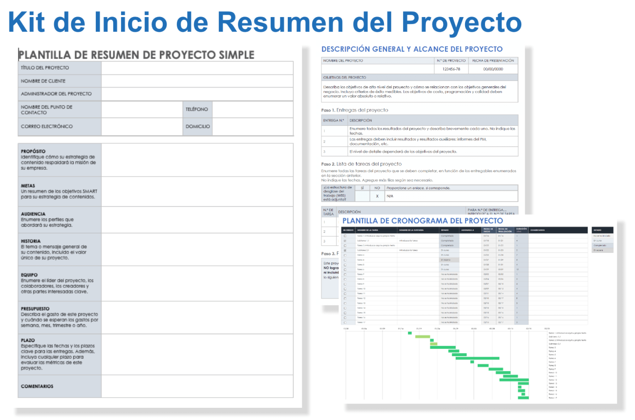 Resúmenes de proyectos | Smartsheet